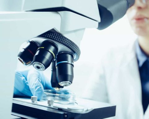 Máster en Análisis de Muestras en Laboratorio de Microbiología ...